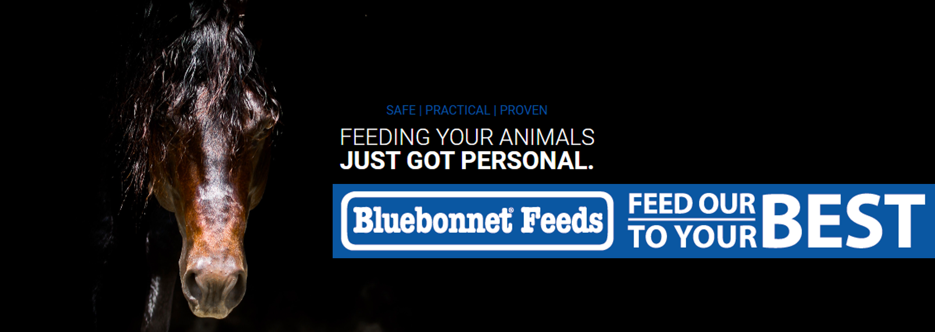 Bluebonnet – Rolling Hills Tack and Feed